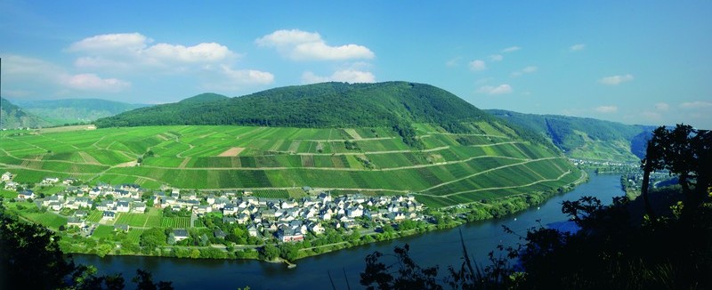 index [www.weingut-freimuth.de]